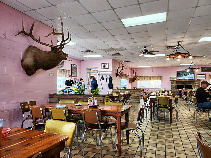 Pink walls, mounted deer, and wooden tables create the perfect backdrop for conversations that meander like country roads.
