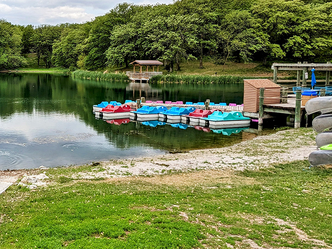 Paddle boats in Crayola colors await their captains. The perfect excuse to pretend you're exercising while actually just floating aimlessly.