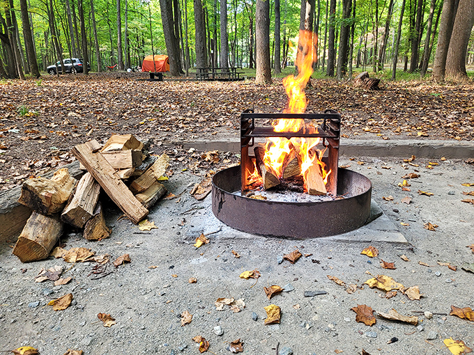 Primal entertainment center: the campfire. Nothing beats gathering around dancing flames while pretending you know how to properly roast marshmallows.