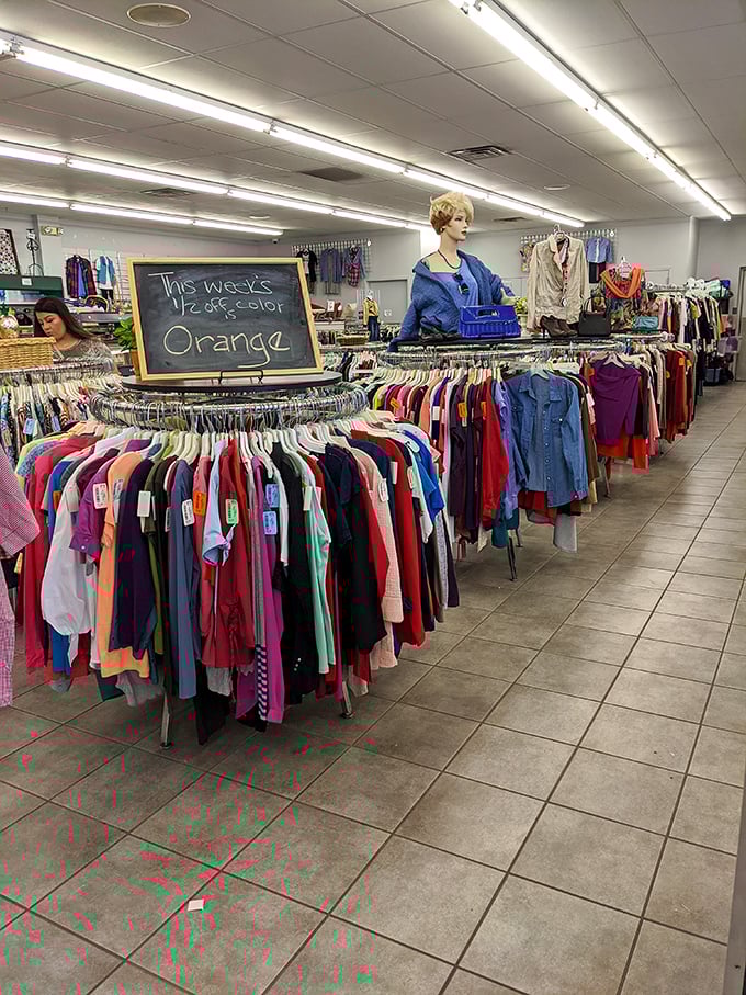 The organized chaos of thrift shopping at its finest, where every aisle promises unexpected discoveries.