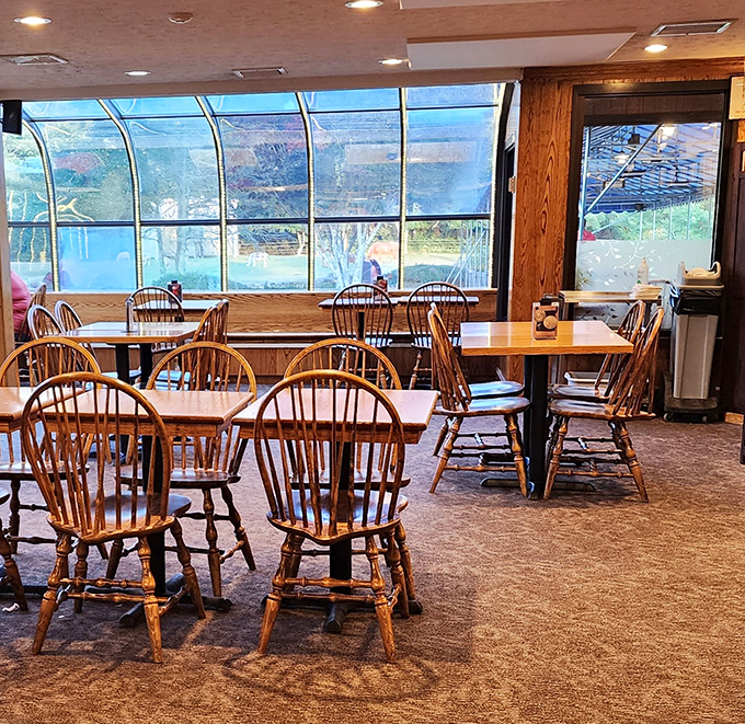 Those curved windows aren't just for looks &ndash; they're nature's television, offering views that beat whatever game is playing on the actual TV.