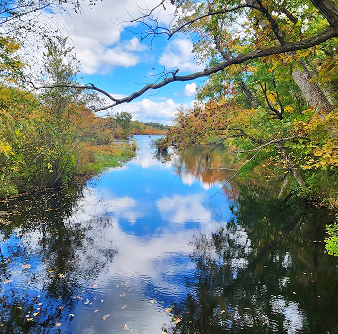 This view practically begs you to sit still for five minutes, which is harder than it sounds in our hyperconnected world.