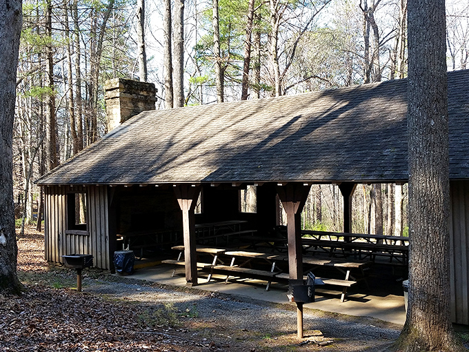 The humble picnic shelter, where countless sandwiches have been unwrapped and at least one aunt has said, "I told you we should have brought more napkins."