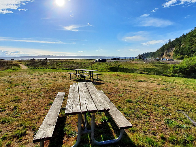The front-row seat to nature's greatest show &ndash; no tickets required, just bring your sandwich and sense of wonder.