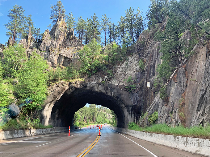 The iconic Black Hills tunnel looks like a portal to adventure – one minute you're on a regular road, the next you're entering a storybook landscape.