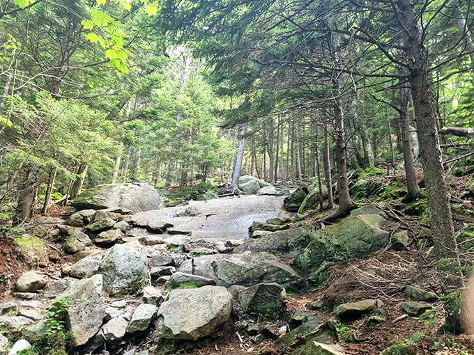 Nature's stairmaster doesn't come with cup holders or heart rate monitors, but the views make the workout worthwhile.