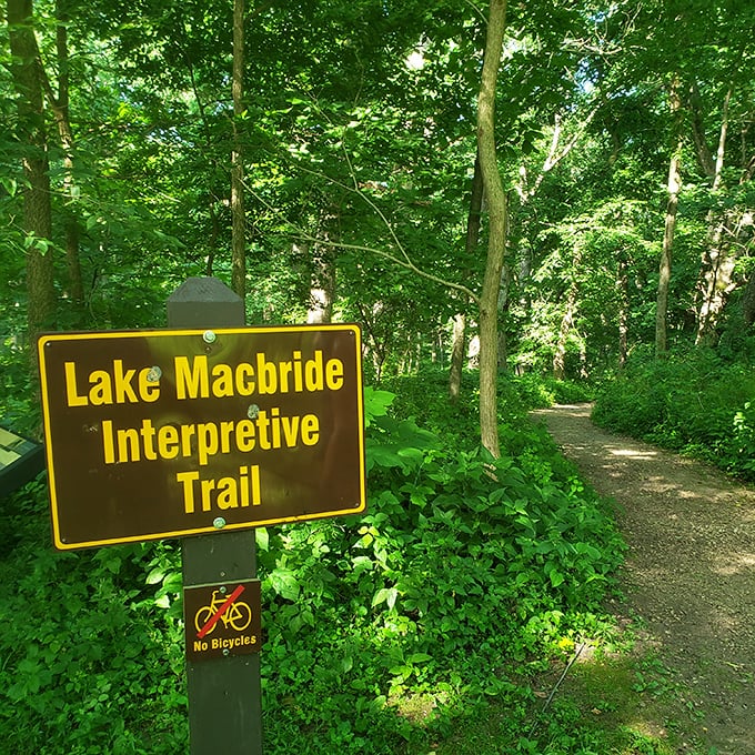 The Interpretive Trail beckons like nature's own invitation card, promising woodland secrets and quiet discoveries just steps from civilization.