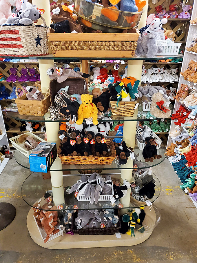 Stuffed animal paradise! This menagerie of plush companions&mdash;from classic teddy bears to modern characters&mdash;waits patiently for new homes and hugs.