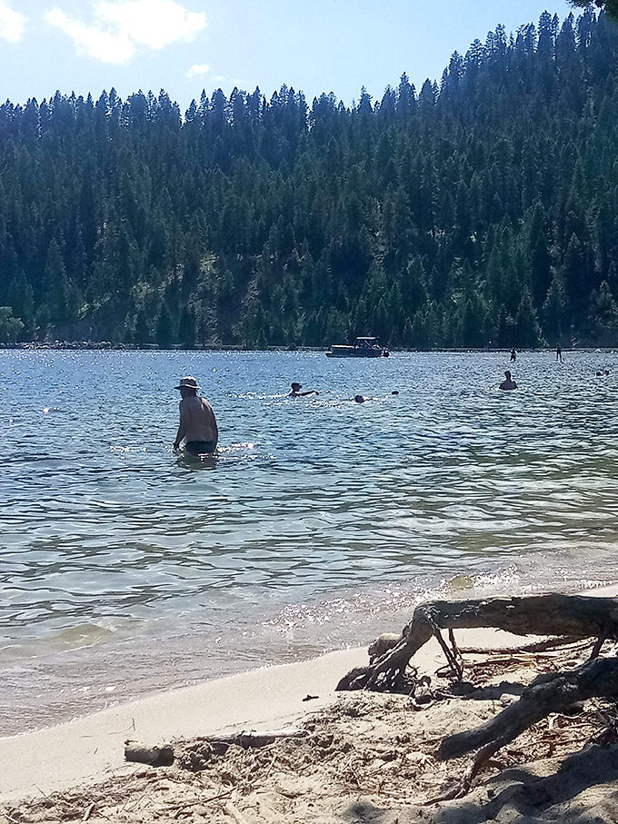 Summer's greatest hits album: warm water, cool swimmers, and a backdrop that makes everyone's vacation photos look professional.