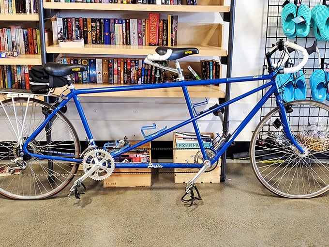 A tandem bicycle leans casually against bookshelves, waiting for a couple to pedal it into its next chapter of adventures.