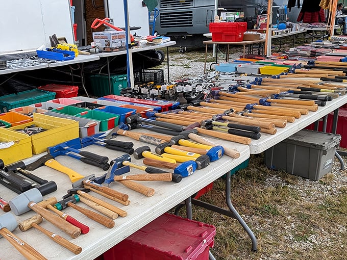 Tools with stories to tell, lined up like soldiers awaiting their next mission. Your grandfather would approve of this collection.