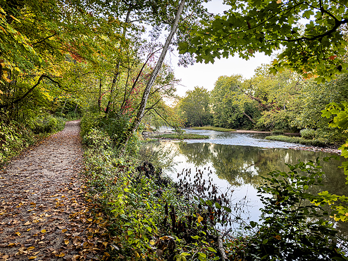 Where the White River whispers ancient tales. Autumn leaves carpet this riverside trail, creating a golden path through Indiana's living history.