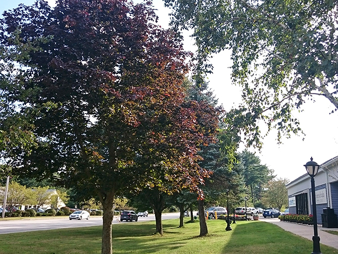 Fall foliage creates nature's perfect backdrop for shopping excursions &ndash; Kittery's seasonal beauty rivals the deals found within its stores.