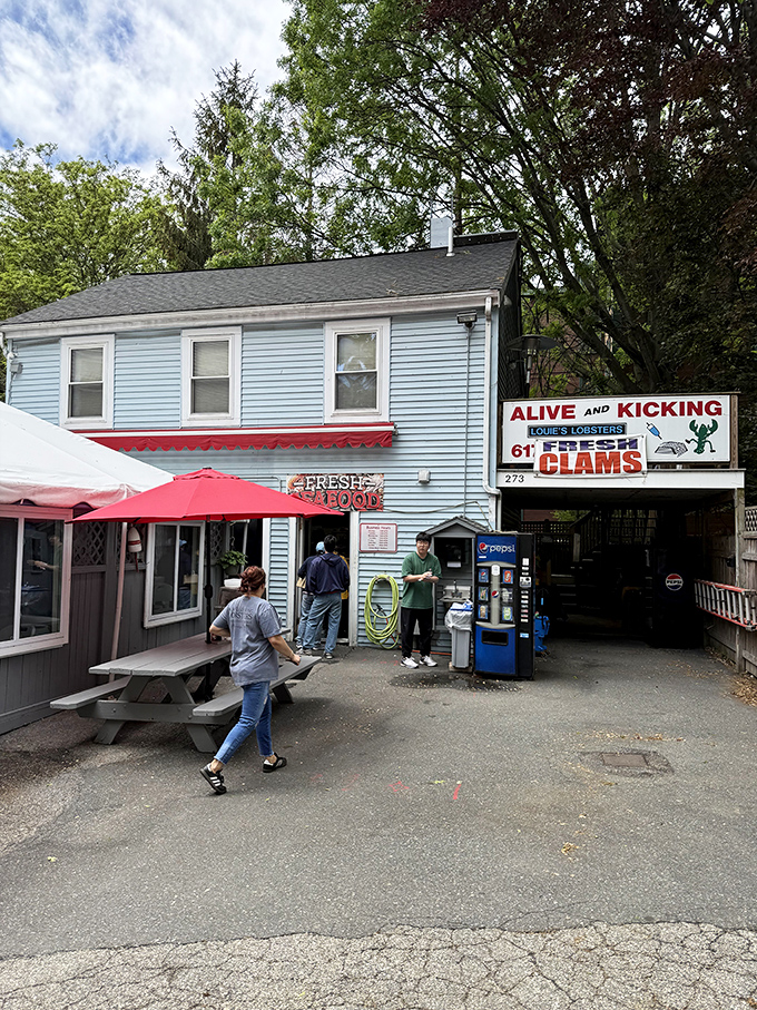 "Alive and Kicking" indeed! This blue house might look humble, but it's hiding Cambridge's most famous lobster sandwich.