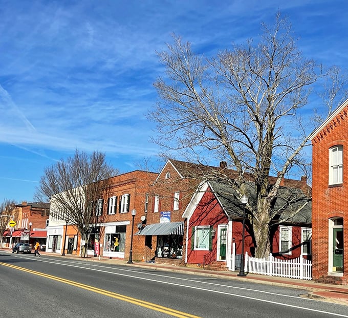 Princess Anne's vibrant Main Street features well-preserved historic buildings housing shops and restaurants with senior-friendly prices.