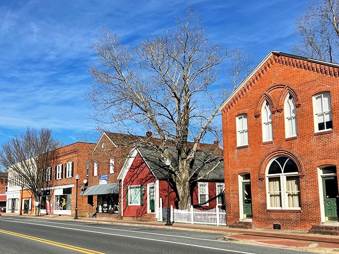 Princess Anne's historic district - where Federal, Victorian, and Colonial buildings create an architectural conversation across centuries.