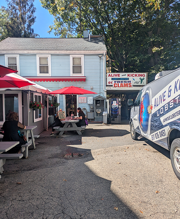 Picnic tables and no-nonsense service. Alive & Kicking focuses on what matters: getting incredible lobster into your hands fast!