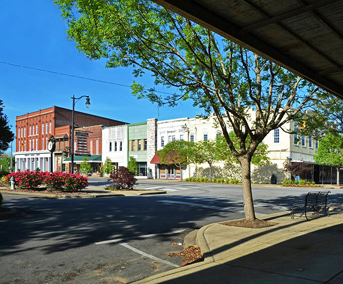 Sunlight bathes these pastel-colored buildings in downtown Demopolis, where affordable living comes with a side of architectural eye candy.