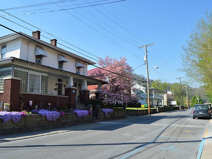Spring blooms and charming homes make this street look like a postcard come to life.