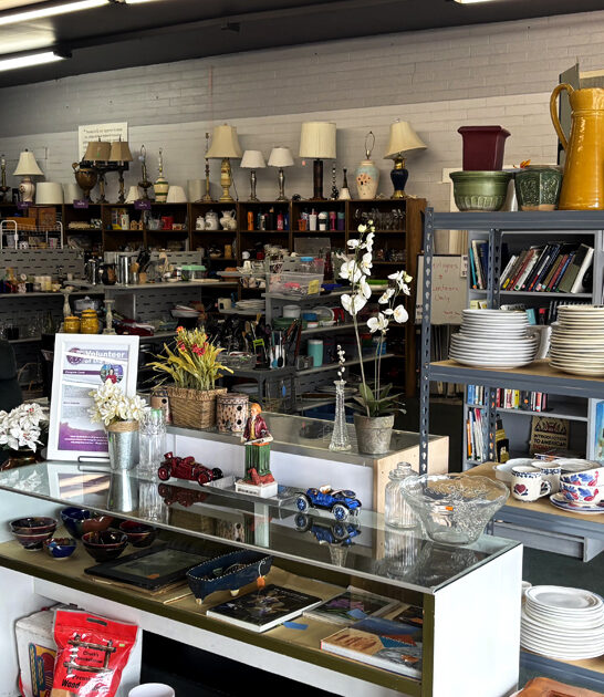 absolutely gigantic arizona thrift ftr