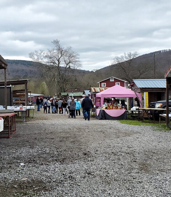 alabama outrageous flea market ftr