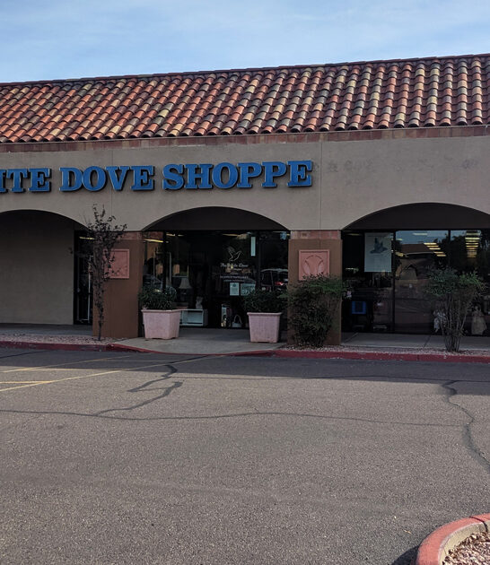 arizona bargains store thrift ftr