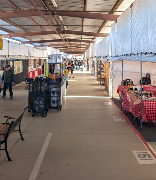 arizona bargains swap meet ftr