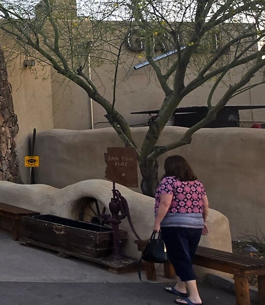 arizona flat iron steak ftr