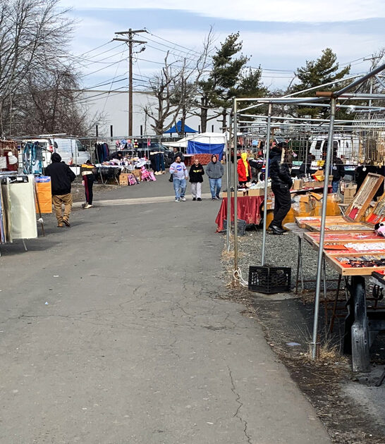 backseat bargains connecticut market ftr