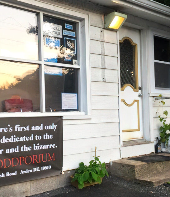 backseat store treasures delaware ftr