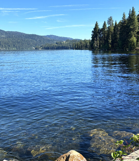 beautiful park idaho postcard ftr