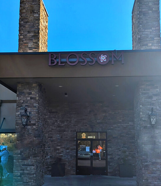 best ribs south carolina ftr