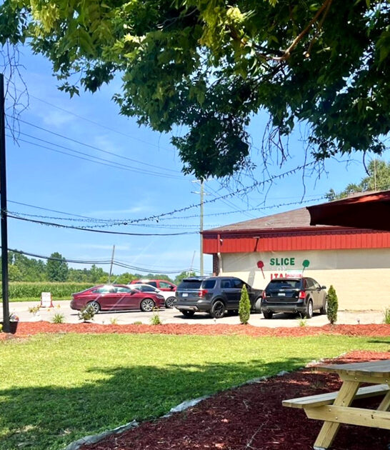 best stromboli pizzeria michigan ftr