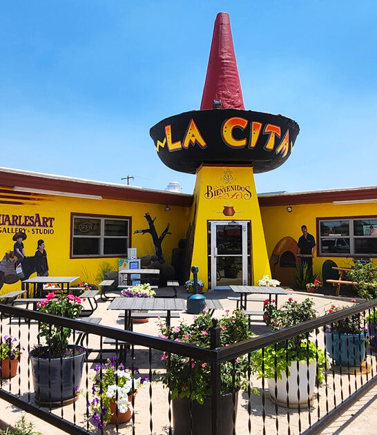 best taqueria new mexico ftr