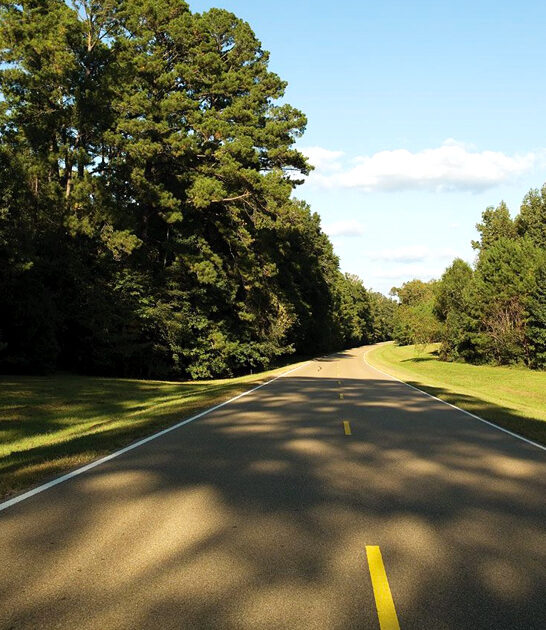 breathtaking drive mississippi postcard ftr