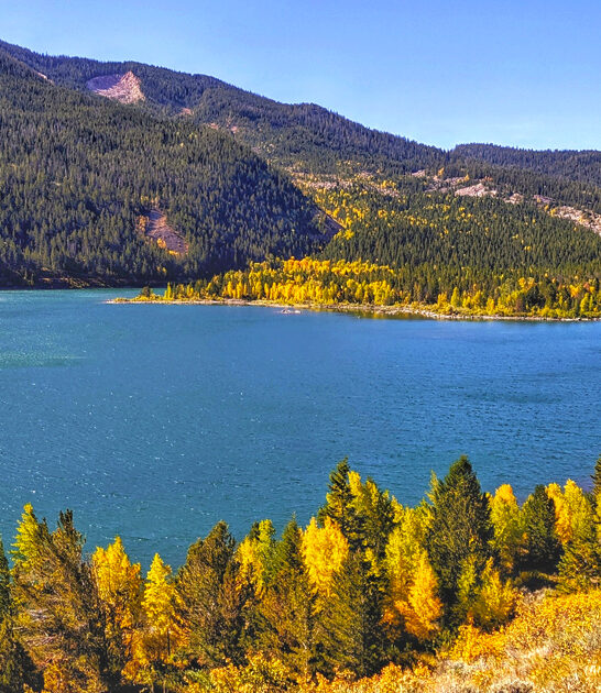breathtaking national forest wyoming ftr