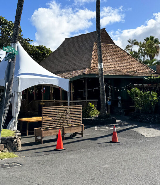 calamari steak hawaii spot ftr