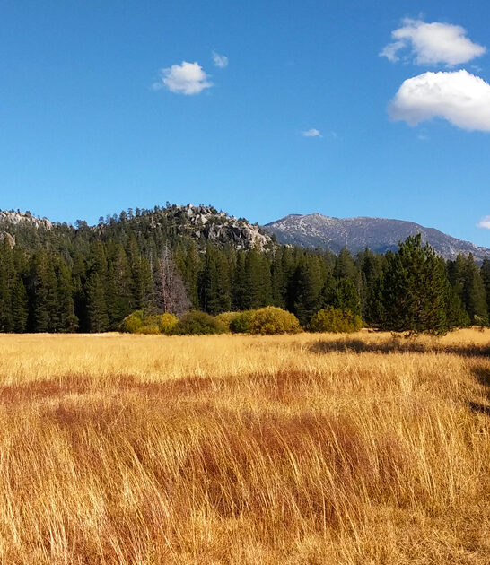 california escape state park ftr