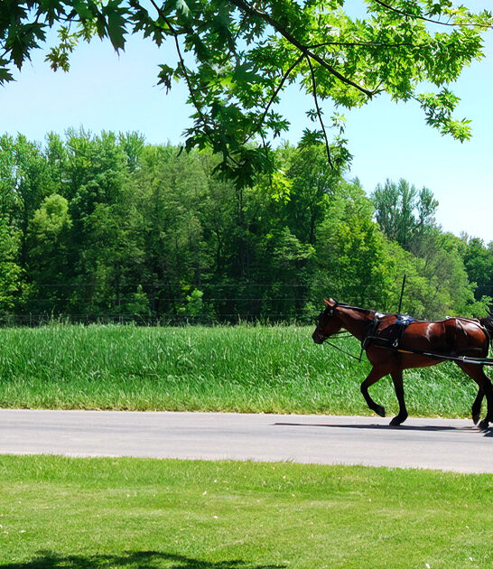 charming town indiana time ftr