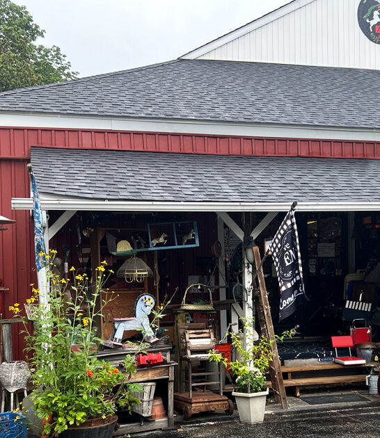 delaware bargains antique store ftr