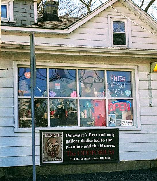 delaware store oddity quirky ftr