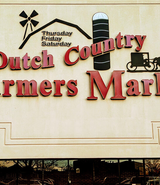 delaware swap massive meet ftr