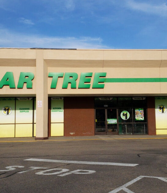 dollar store minnesota ftr