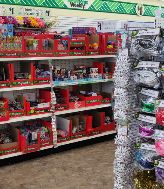 dollar store wisconsin shopping ftr
