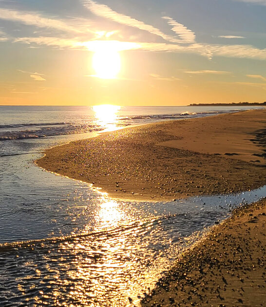 dreamy beach rhode island ftr