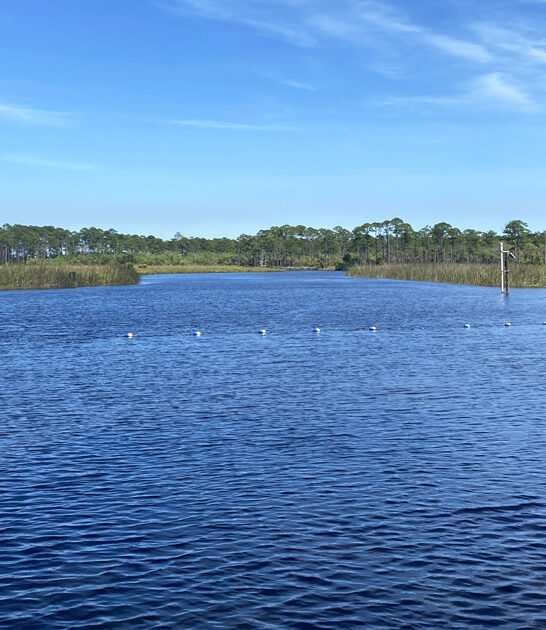 dreamy park florida state ftr