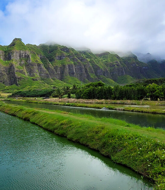 dreamy park hawaii state ftr