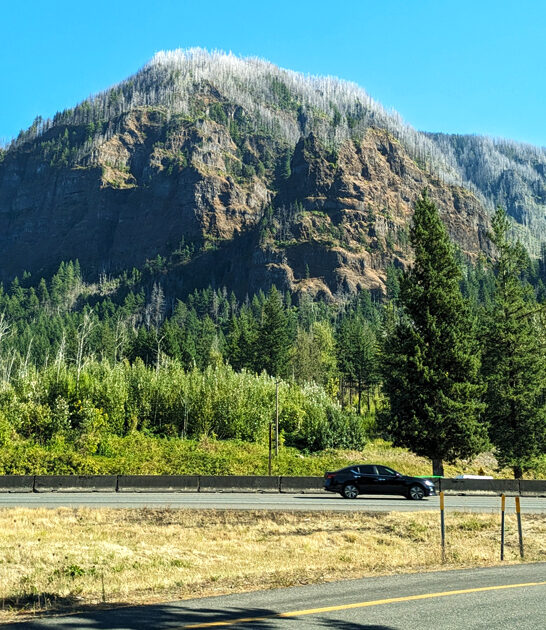 dreamy park oregon postcard ftr