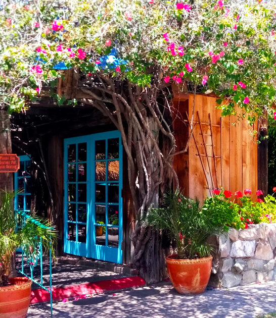 drive arizona fish tacos ftr