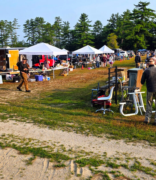 enormous flea new hampshire ftr